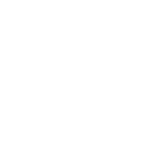 Skam Summer Music Summit