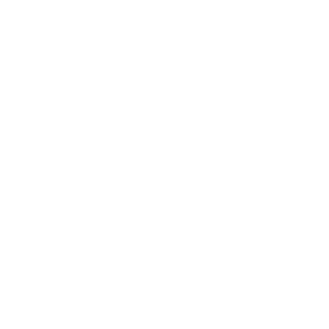 Skam Summer Music Summit